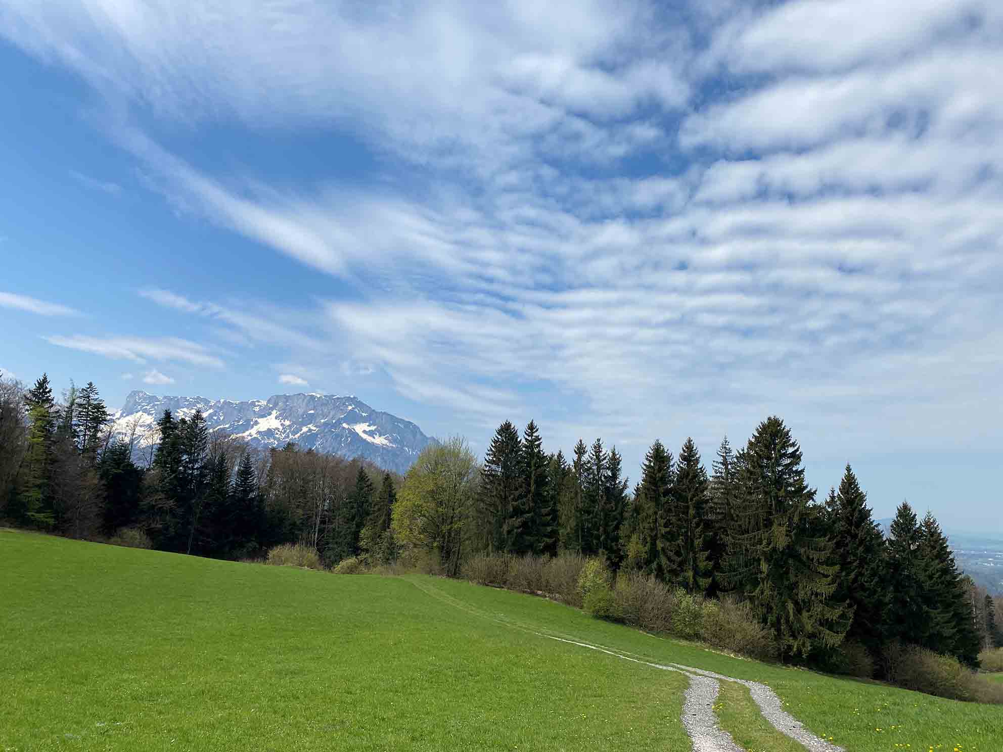 Nachhaltigkeit im Unternehmen | 7 Steps Solution